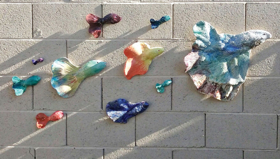 Swim into pottery this summer – Robson Ranch Views